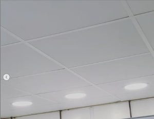 Hygienic and Moisture Resistant White Vinyl Faced 600x600mm Suspended